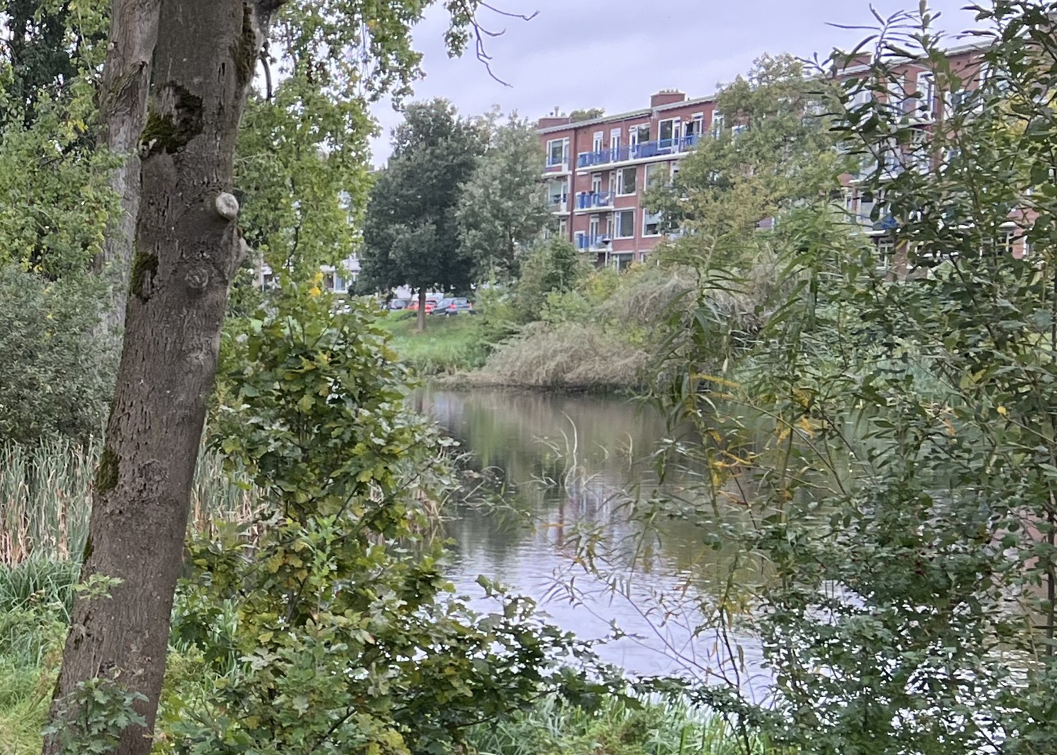 Baggeren vijvers Groningen-Zuid - Waterschap Hunze en Aa's