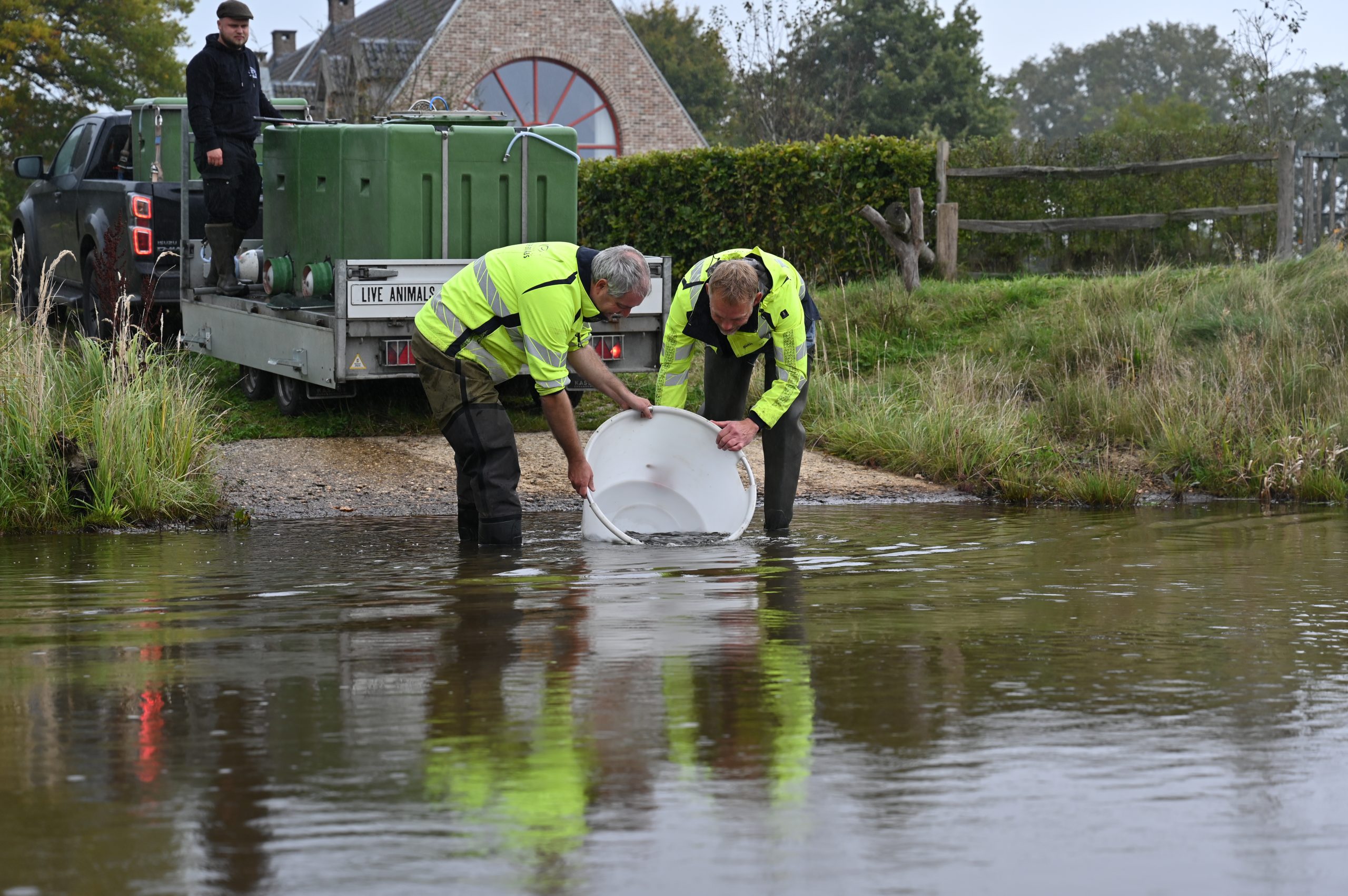 Serpeling weer terug in Ruiten Aa - Waterschap Hunze en Aa's